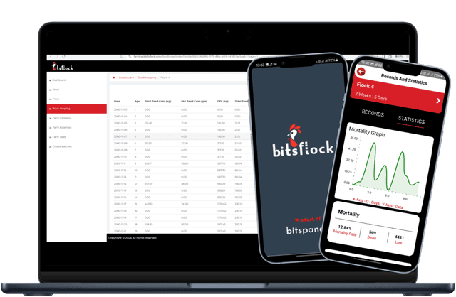 BitsPanda Technology | Top IT Company in Nepal - Software, AI & Poultry Solutions